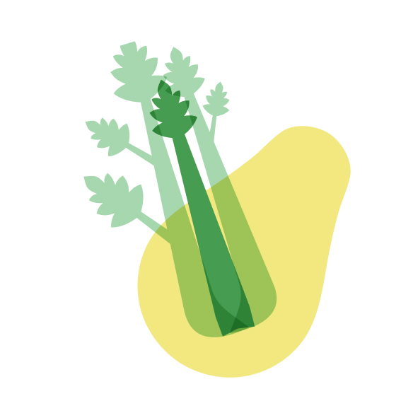 Kate Farms | Plant-Based Tube Feeding Formulas & Shakes