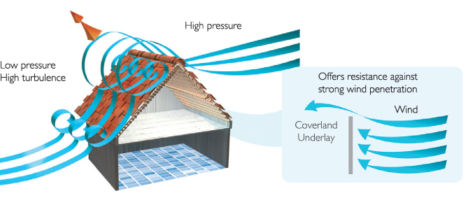 BMI South Africa | Radenshield benefits