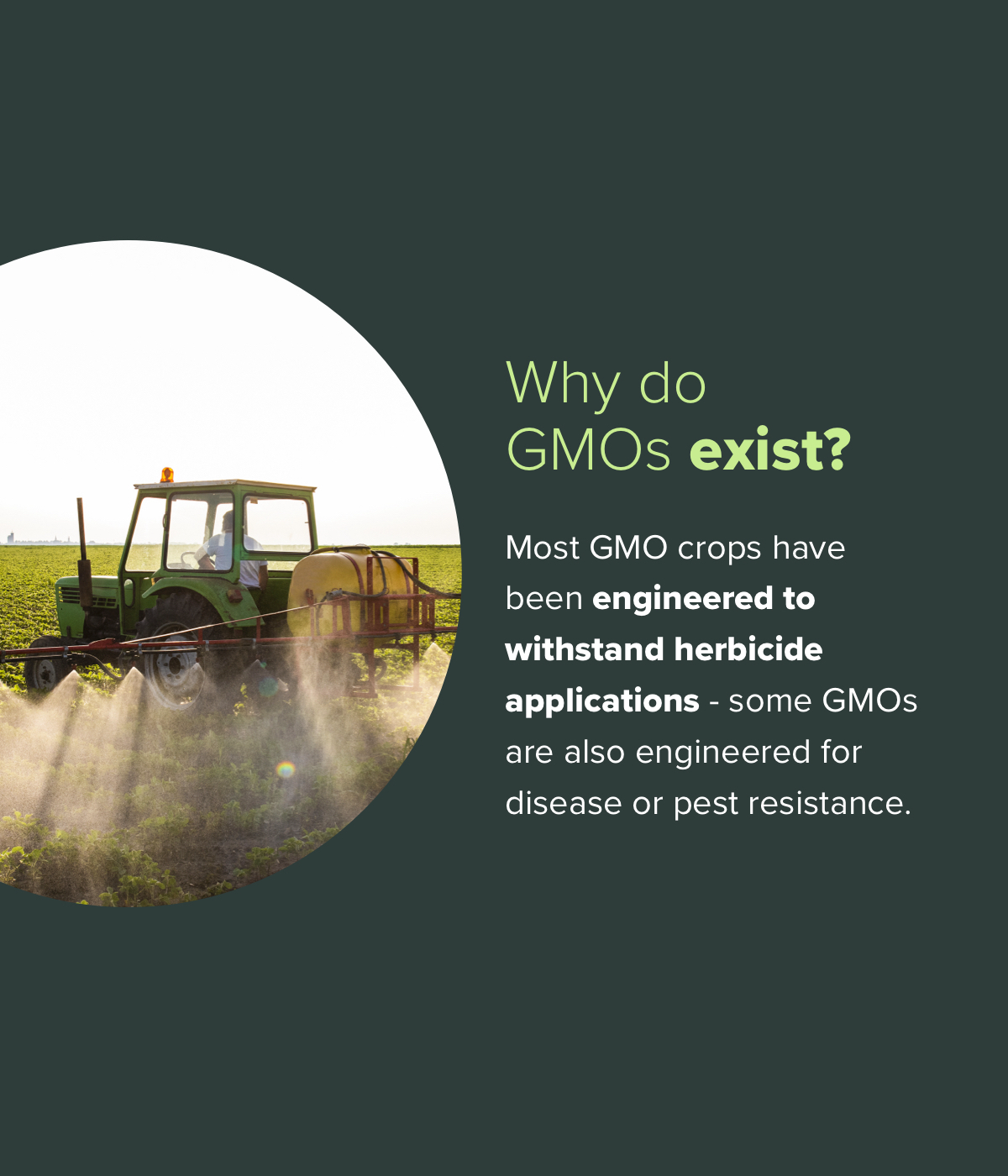 What to Know About GMOs