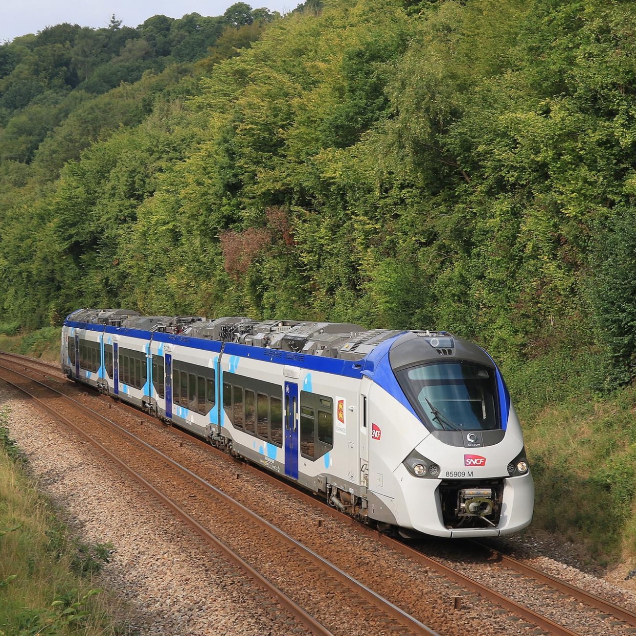 Volvic - Source Protection · Volvic