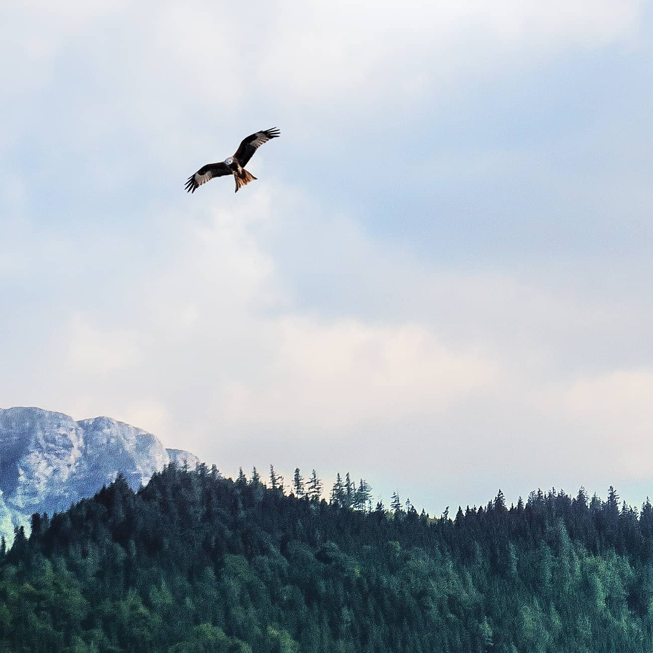 Volvic - Source Protection · Volvic