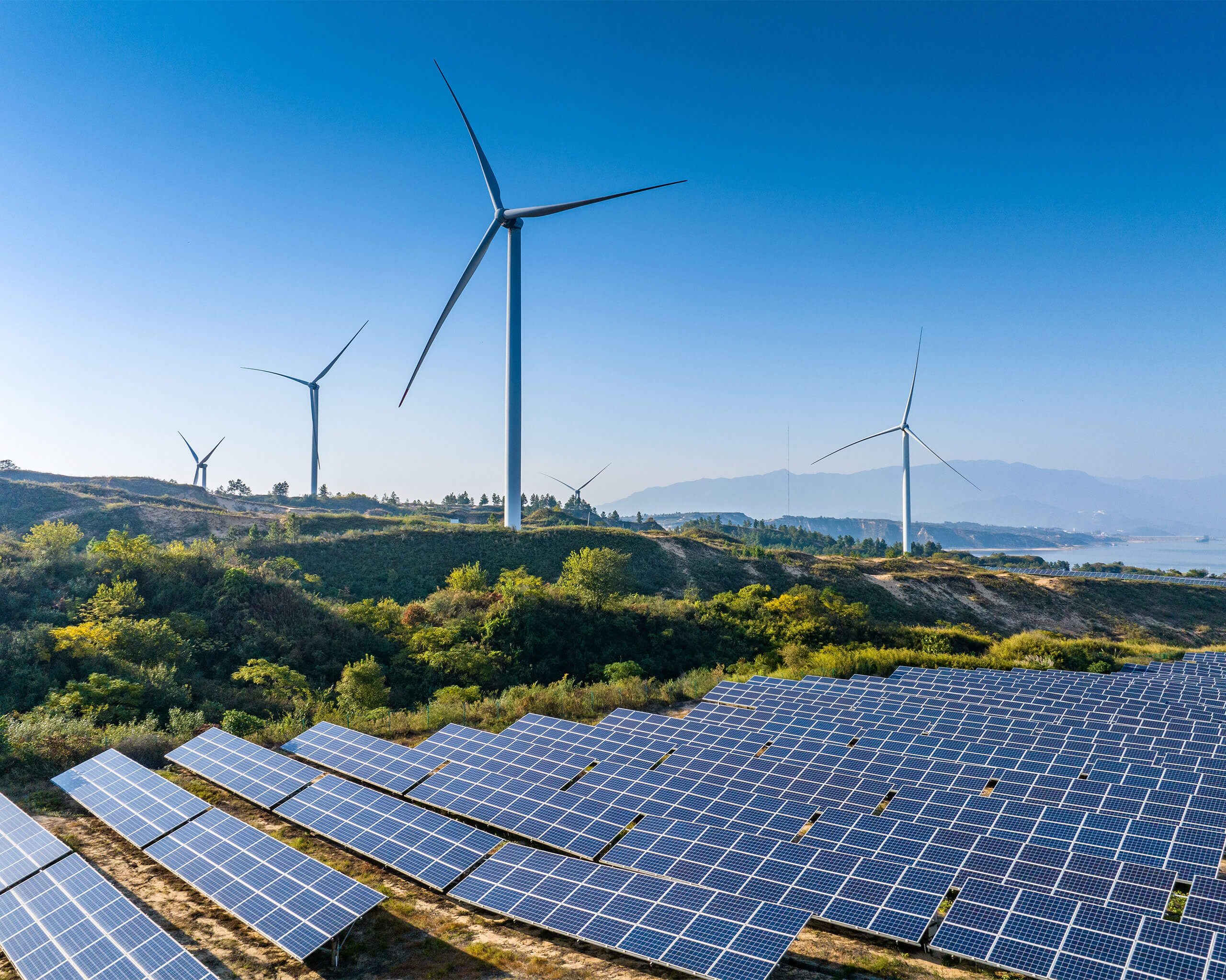 Empowering Renewables with Tech | Procore
