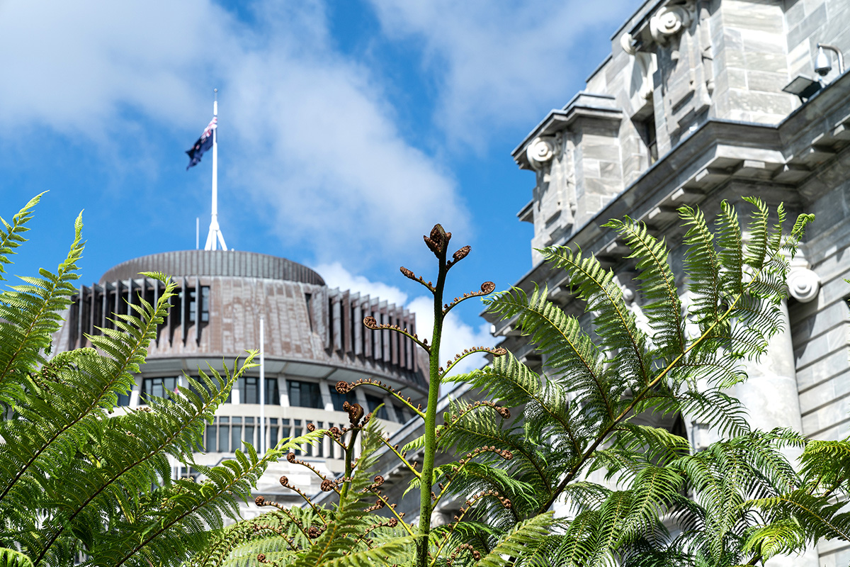Election result a damp squib for NZ sharemarket | Fisher Funds