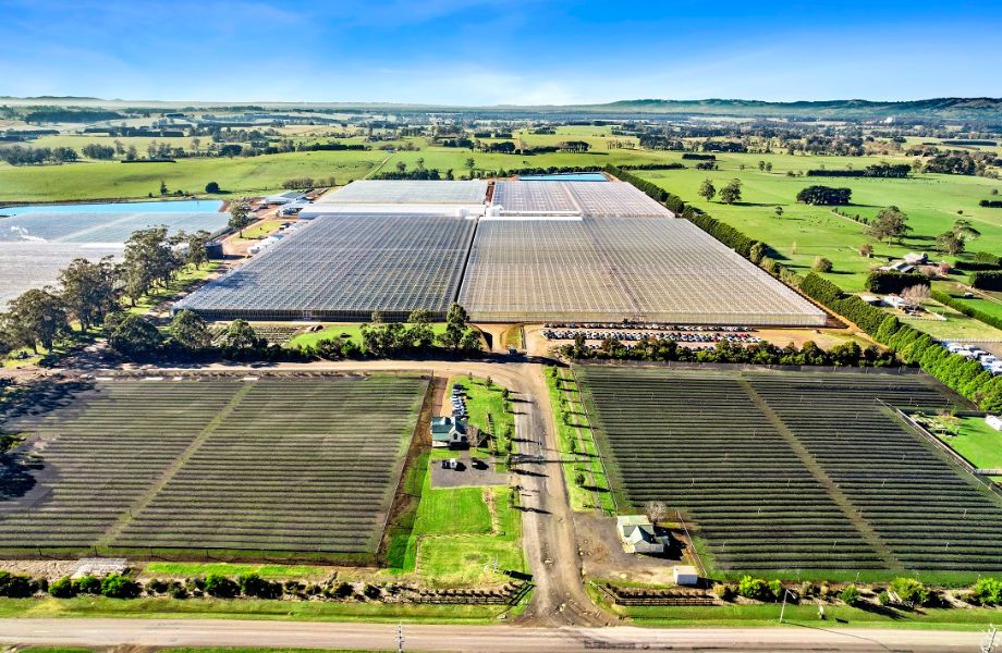 Centuria Eyes Fresh Produce, Buys Regional Glasshouse | The Urban Developer