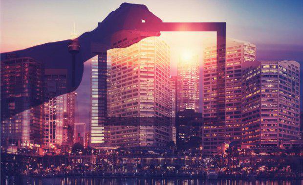 “Out Of The Box” Developments Need Similar Advisors | The Urban Developer