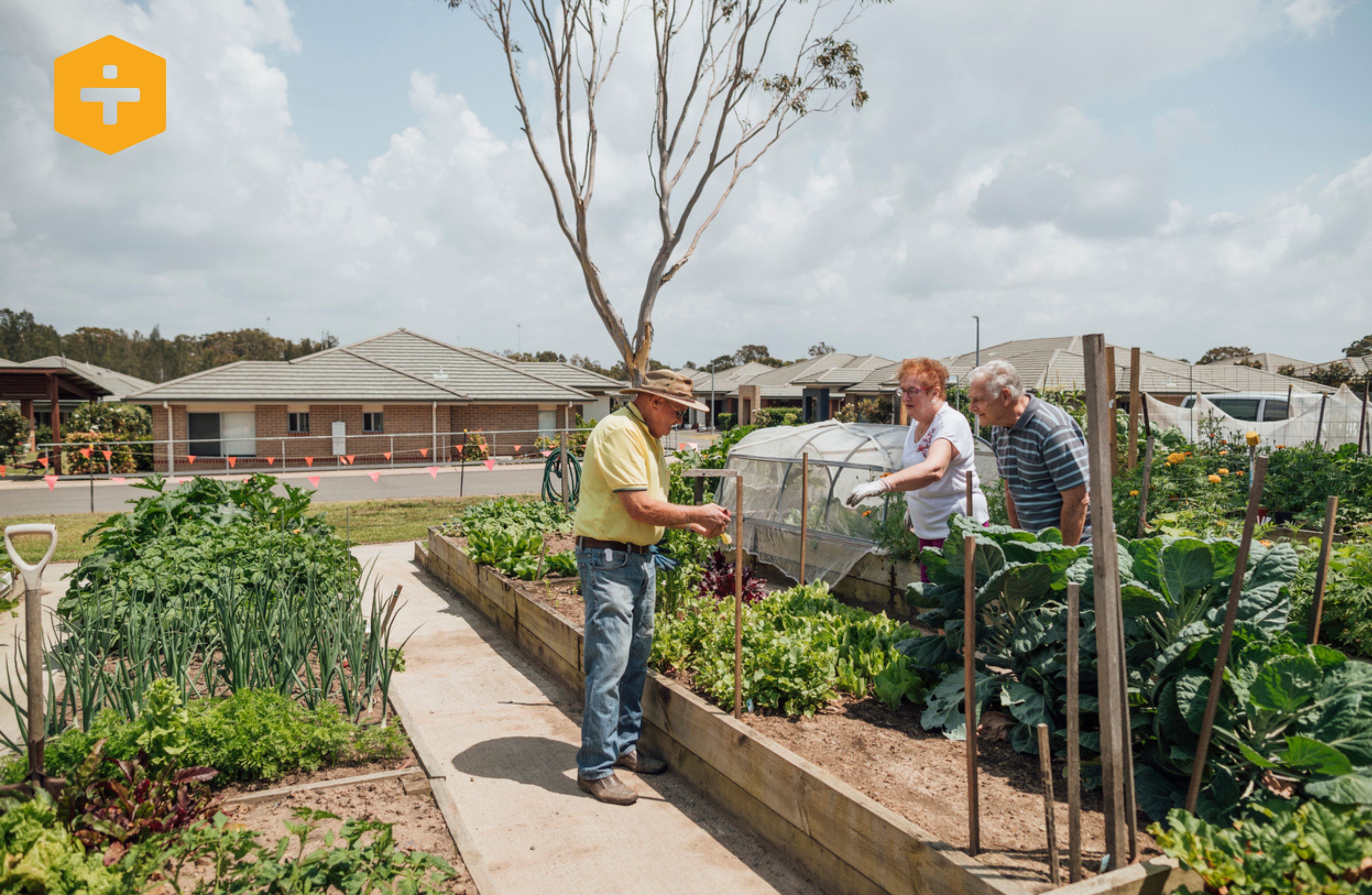 Liveability Crucial to Solving Density Puzzle | The Urban Developer