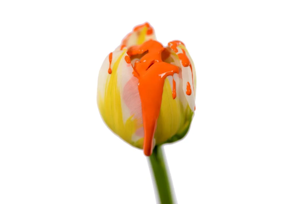 Base de datos multidimensionales: qué son y cuándo se usan - Blog Incentro