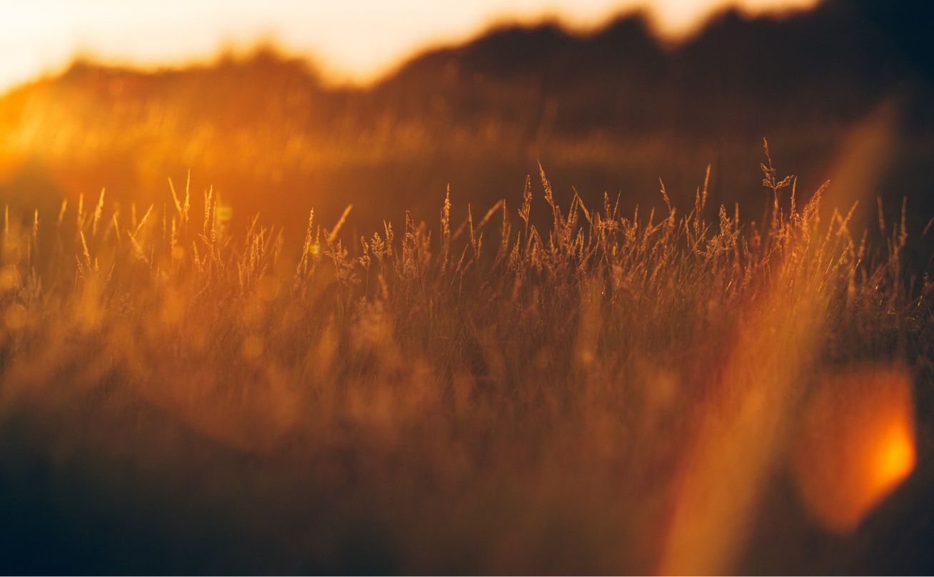 0% Interest Credit Cards | Compare and Apply | ClearScore GB