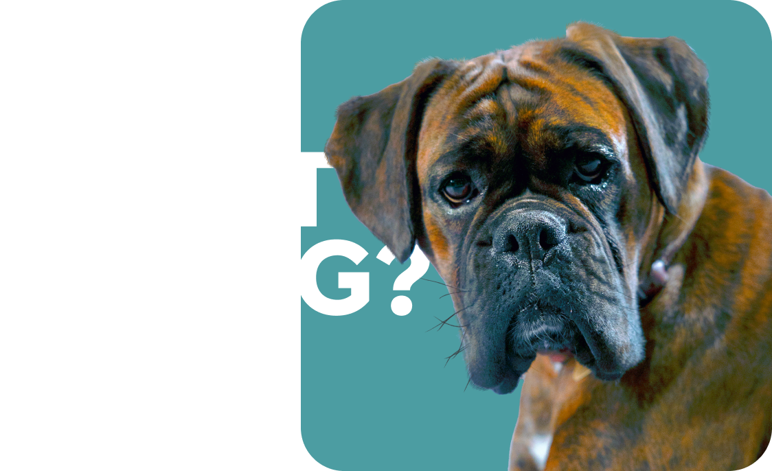 ClearScore | Your credit score & report. For free. Forever.