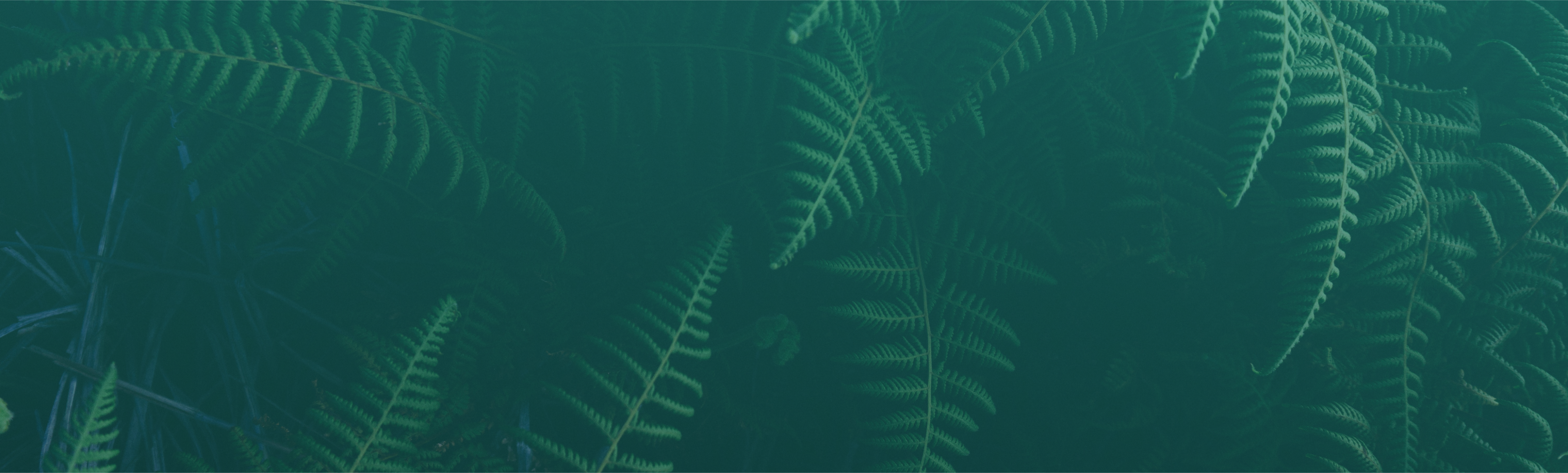 Credit score with ClearScore | check your credit score for free