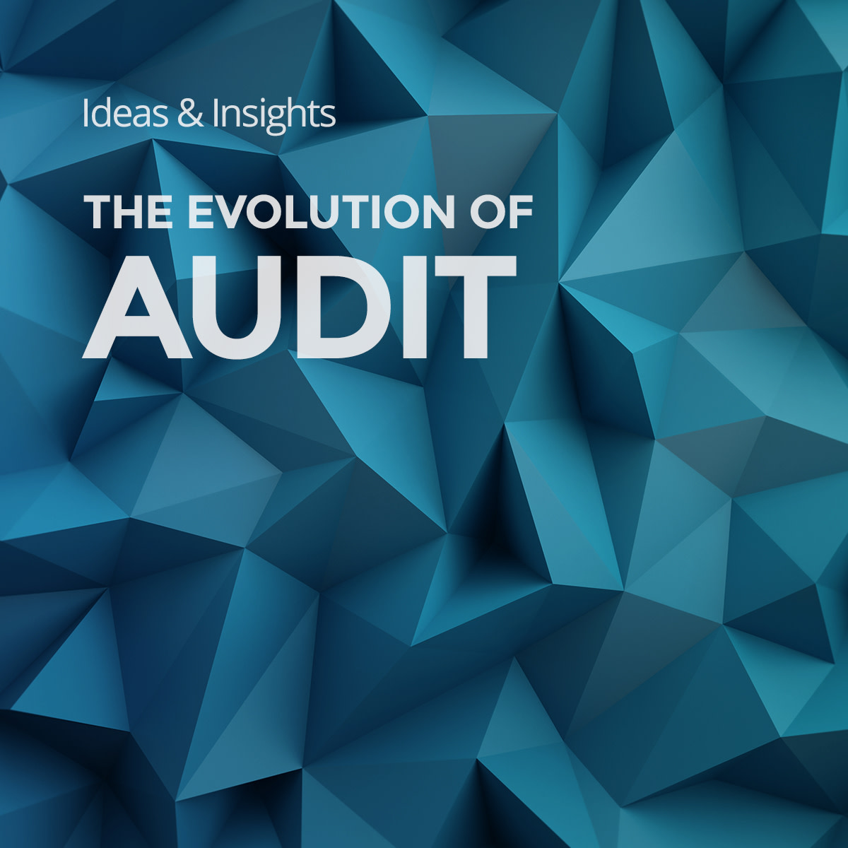 The Evolution of Audit | MGO