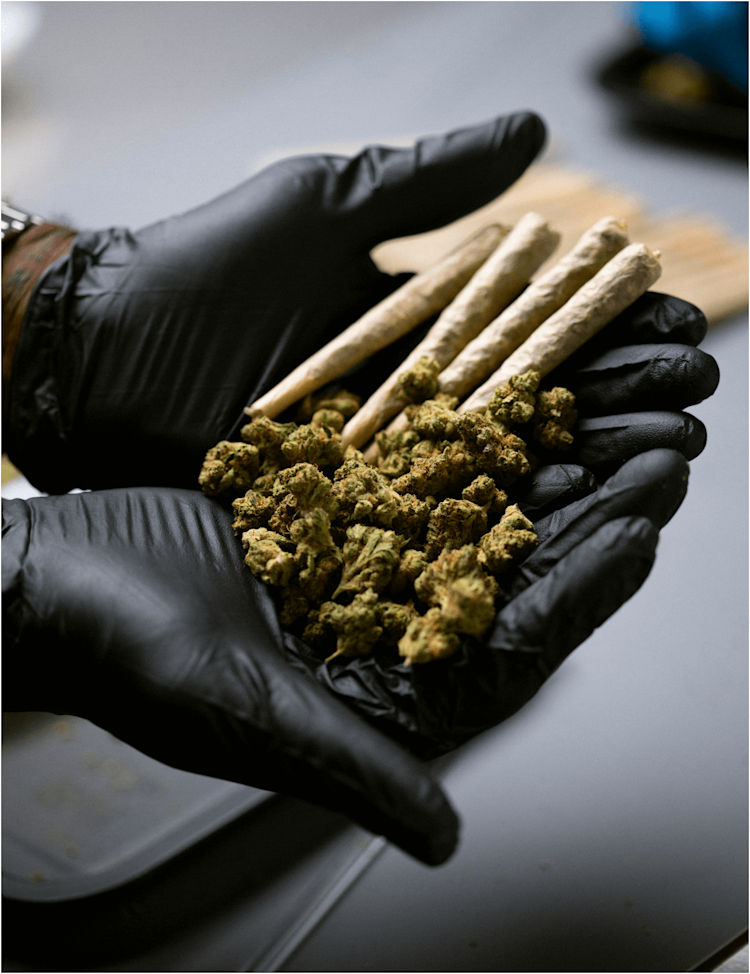 Process | Monogram by Shawn “JAY-Z” Carter