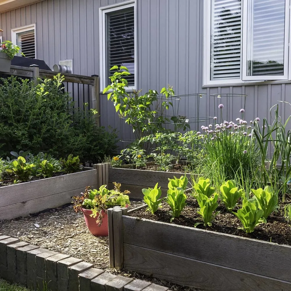 Here's How to Plant a Home Garden Full of Fresh Veggies | Home Hardware