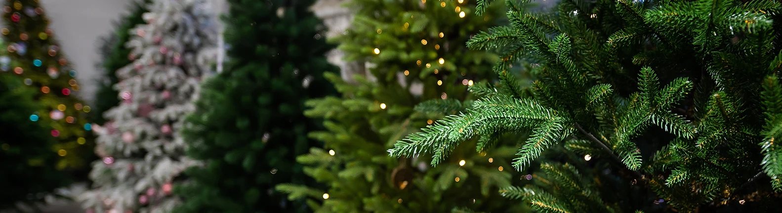 Bring Home the Joy: Shop Christmas Trees Online at Home Hardware