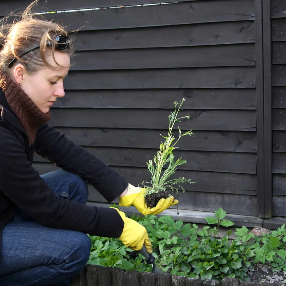 Here’s How to Clean Up Your Garden at Summer’s End | Home Hardware