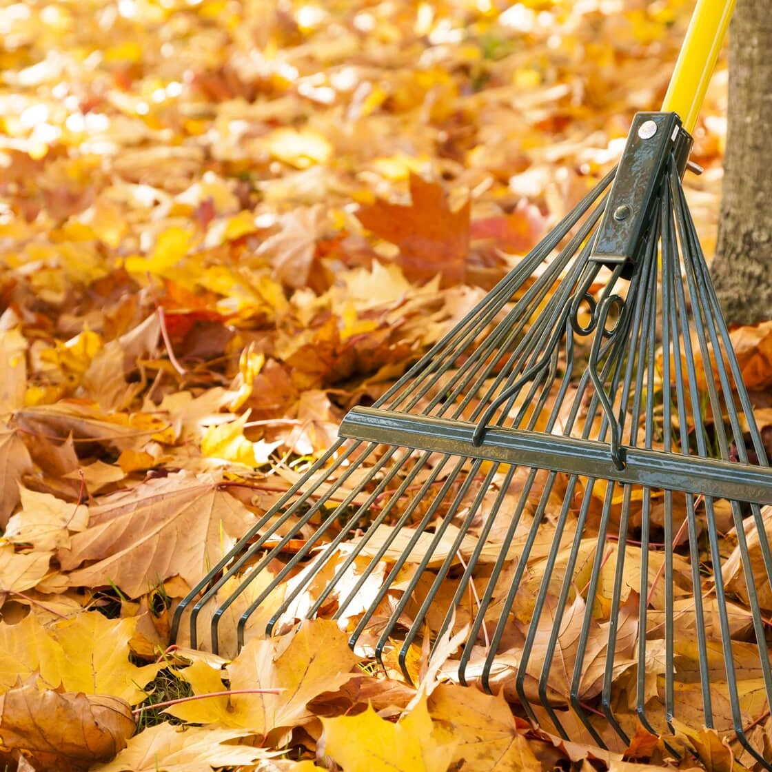 Here’s How to Choose the Right Rake for Your Lawn & Garden | Home Hardware