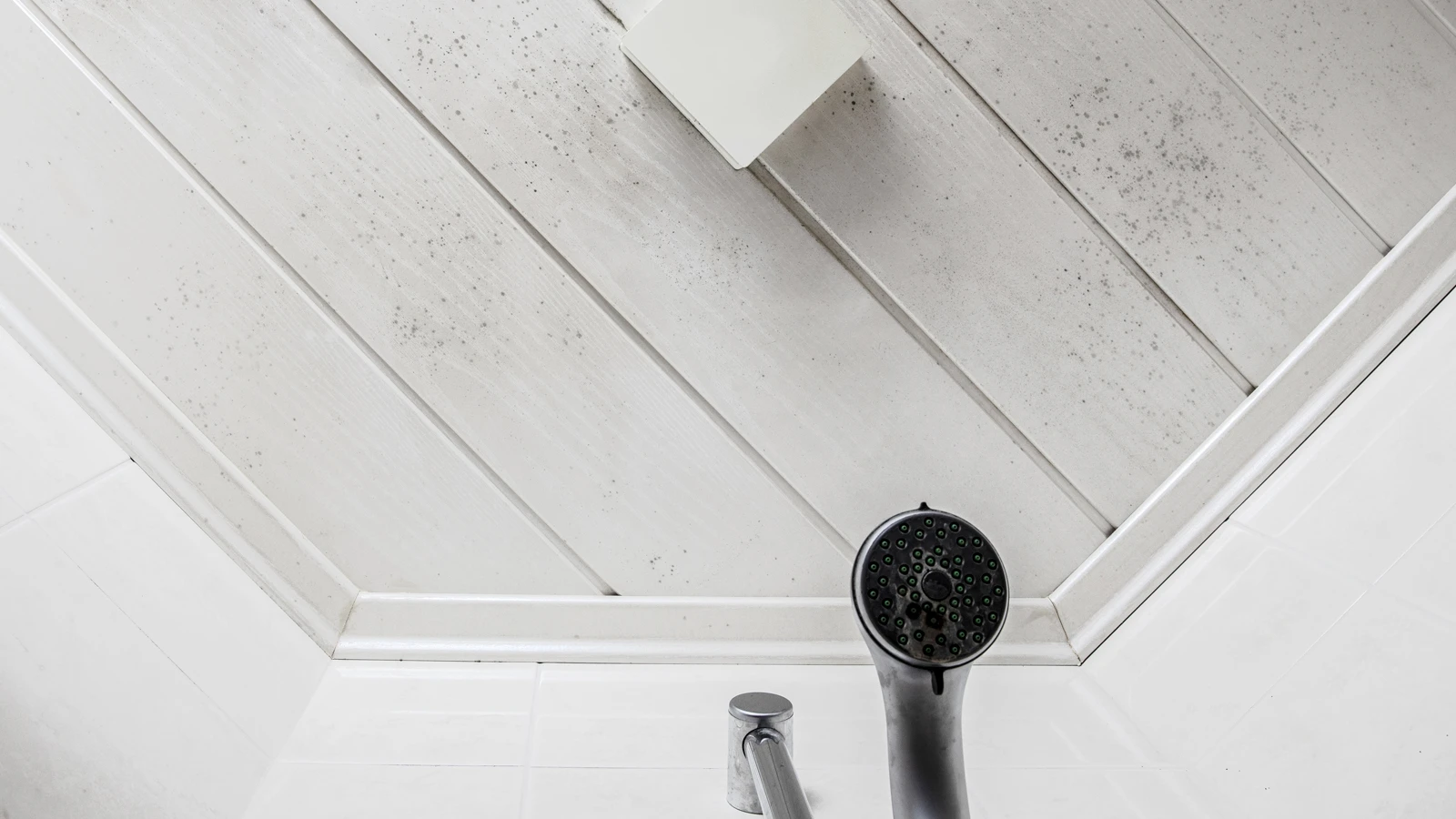 Here’s How to Fight Allergies in Your Home | Home Hardware