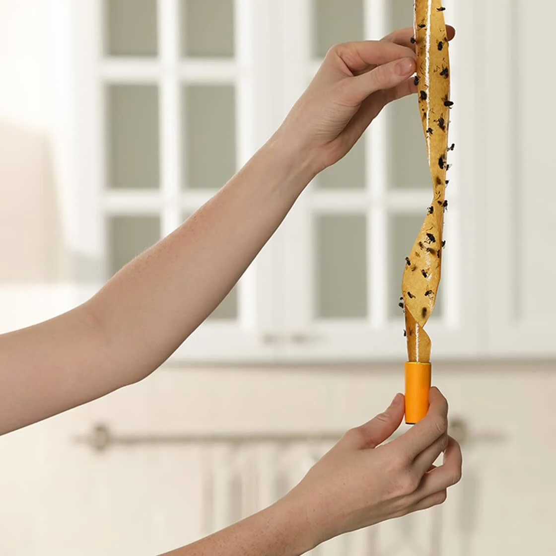 Here’s How to Get Rid of Flies in Your Home | Home Hardware