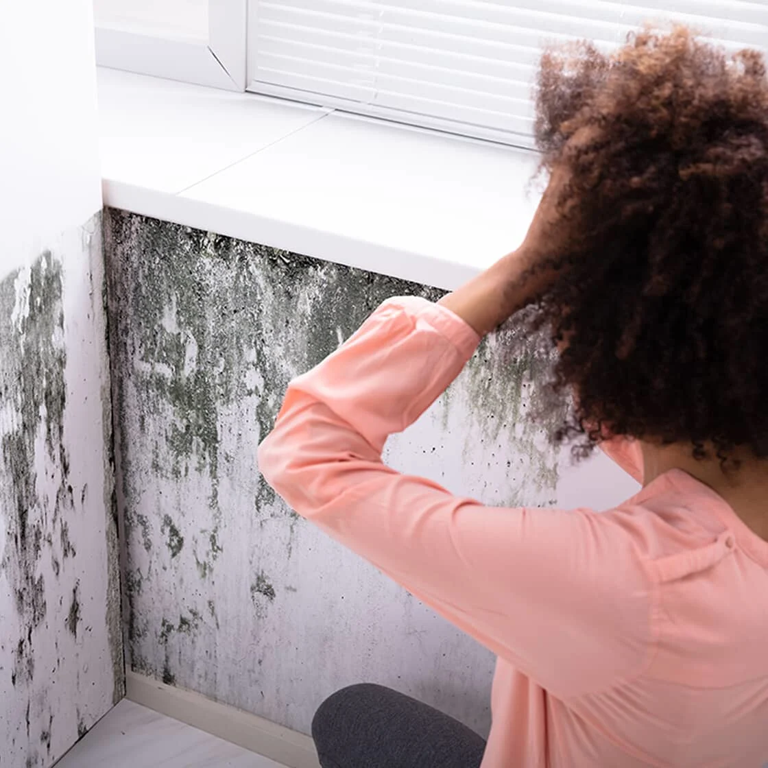 Here’s How to Get Rid of Mould in Your Home | Home Hardware