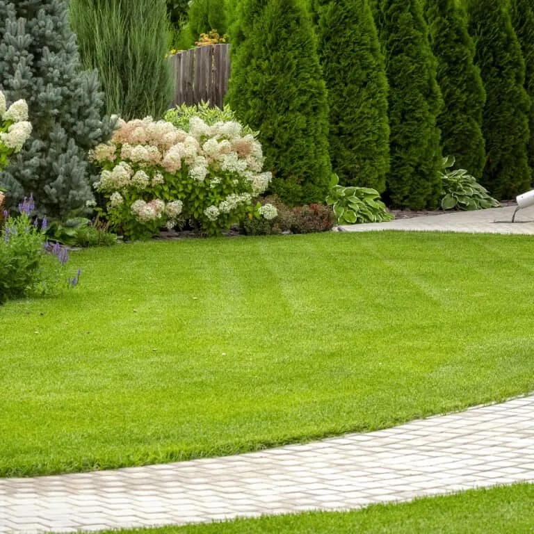 Here's How to Mow Your Lawn Like a Pro | Home Hardware