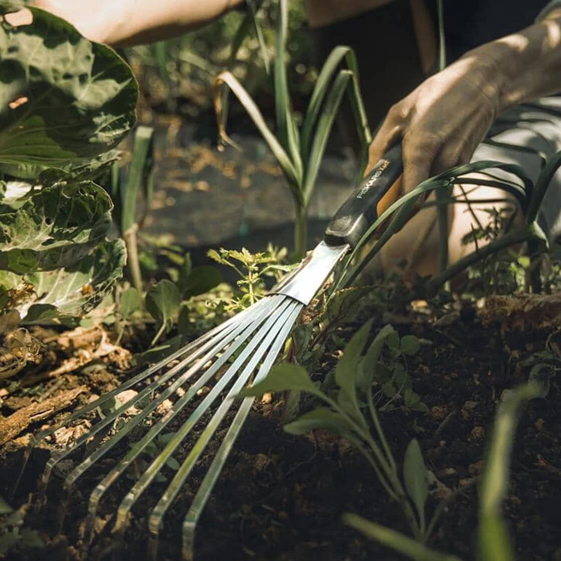 Here’s How to Choose the Right Rake for Your Lawn & Garden | Home Hardware