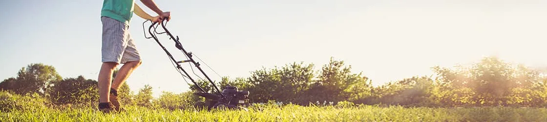 Expert Lawn Care Tips: Proper Mowing Techniques to Save Time and Money ...