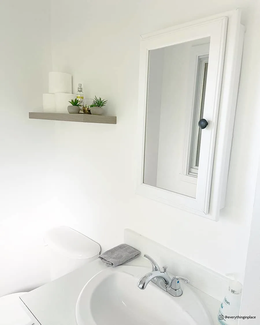 Easy Organization Bathroom Revamp
