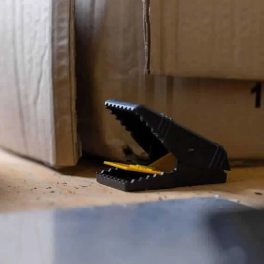 Here’s How to Keep Your Home Free of Mice | Home Hardware