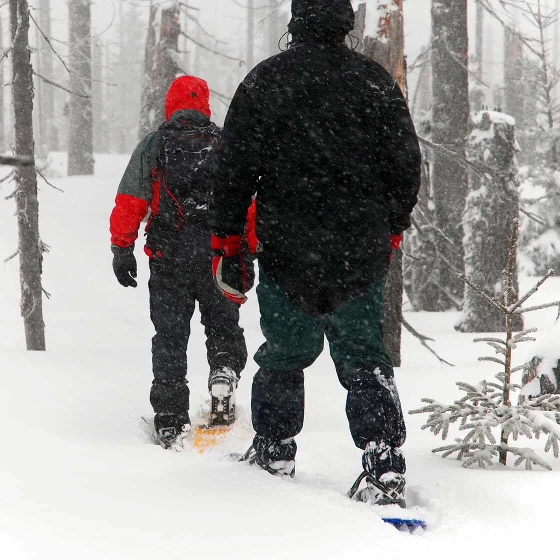 Savoir. Faire. Voici comment s’amuser en toute sécurité cet hiver. | Home Hardware