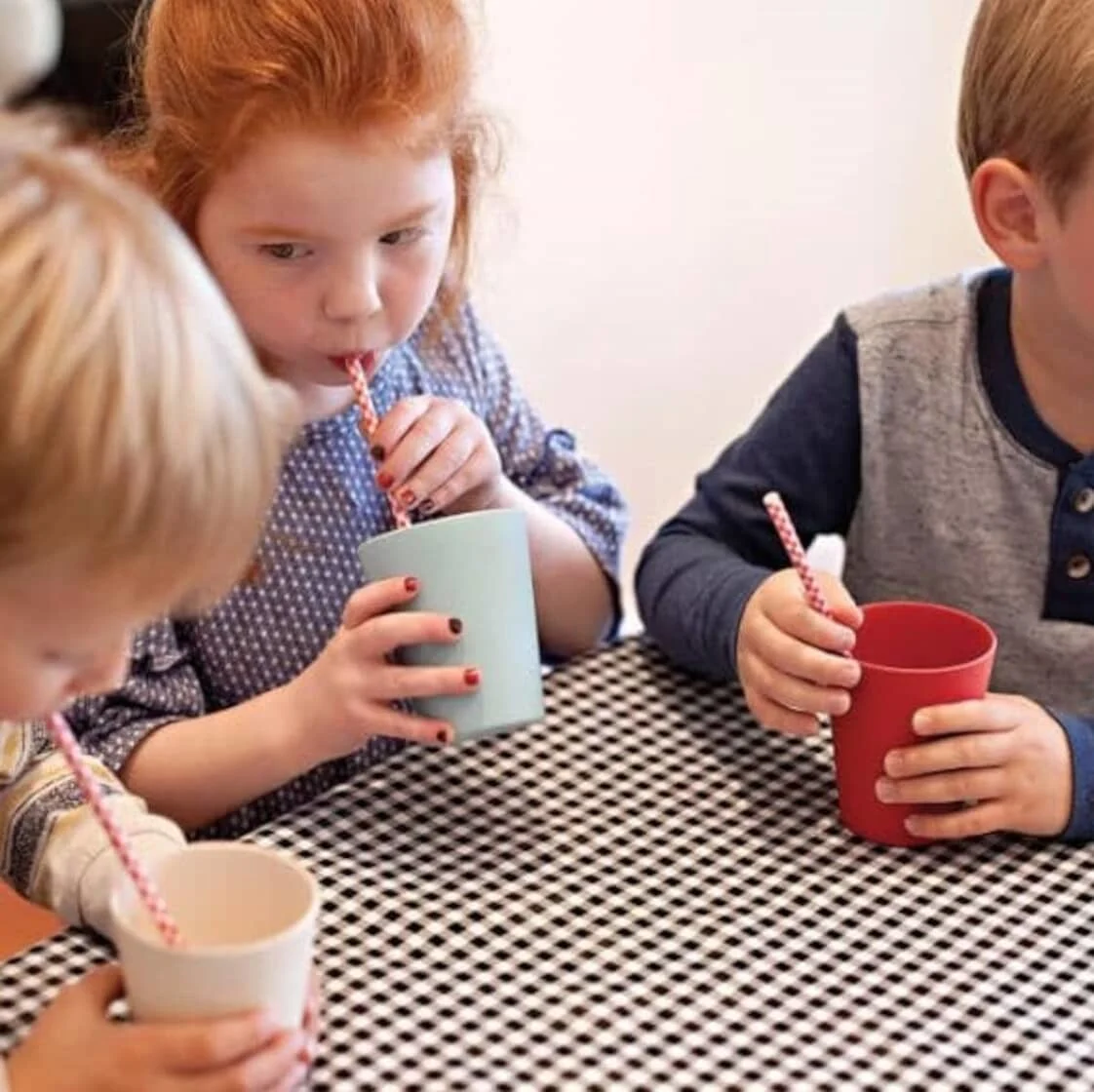 Here’s How to Make a Litterless Lunch for Work or School | Home Hardware