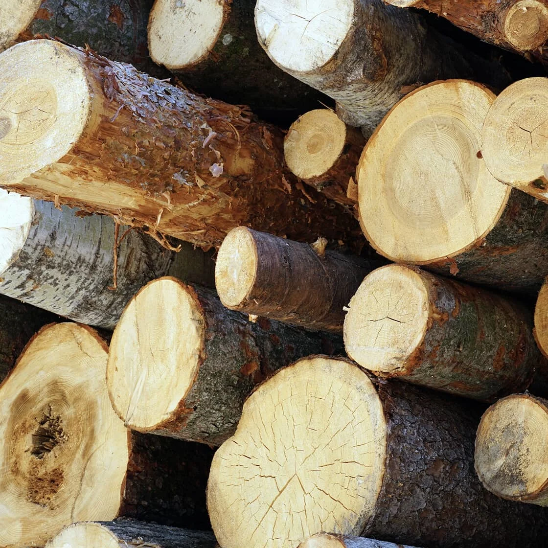 Here’s How to Choose the Right Log Splitter for Your Yard | Home Hardware