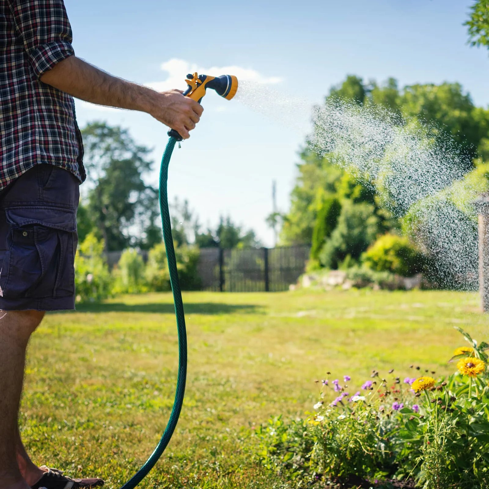 How to Properly Water Your Garden | Home Hardware