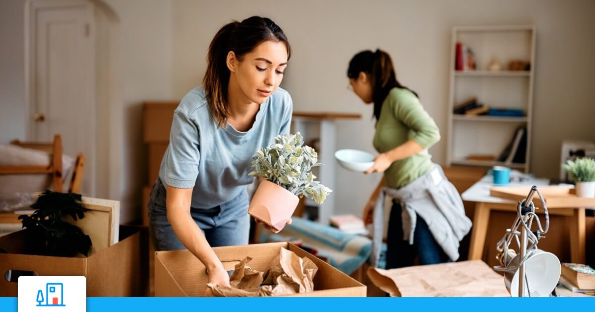 Quelle assurance habitation choisir en colocation