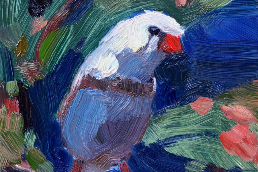 Symphony Parnassus Plays Pyotr, Preben, and Prokofiev - Classical KDFC