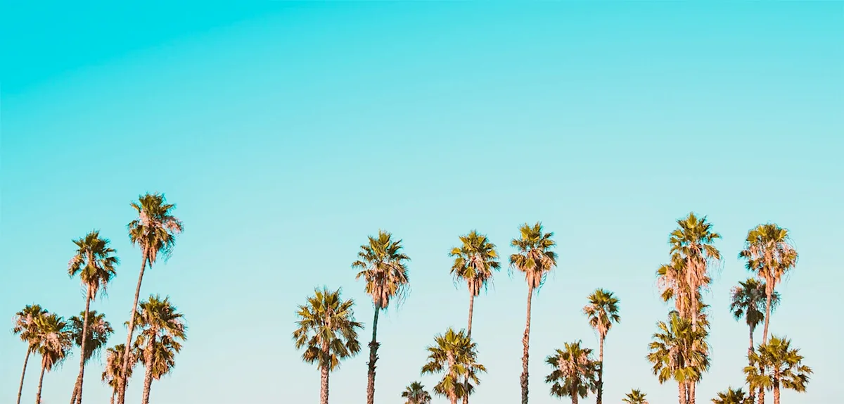 Listen to the Classical California Ultimate Playlist | See What Made ...