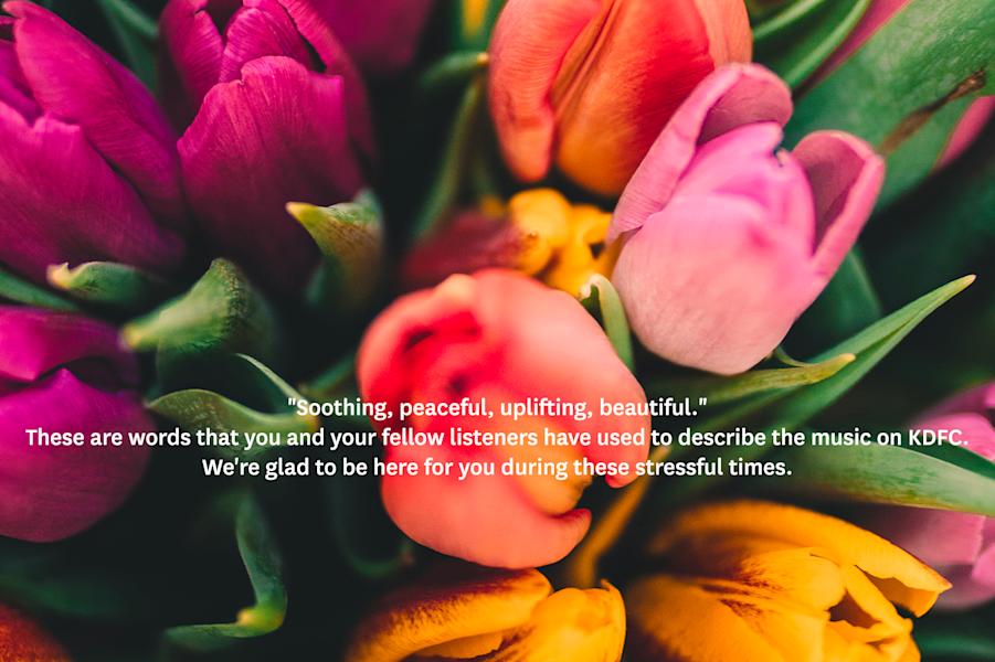 KDFC.calm - Classical KDFC