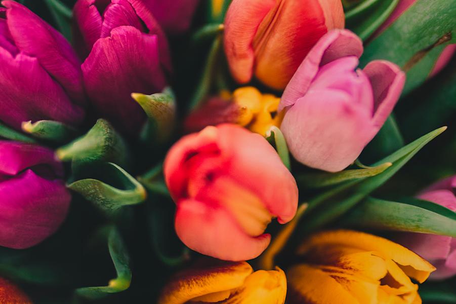 Hidden Gems for a Musical Mother’s Day - Classical KDFC