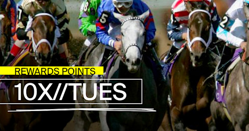 Horse Racing Betting Promotions and Bonuses | Xpressbet