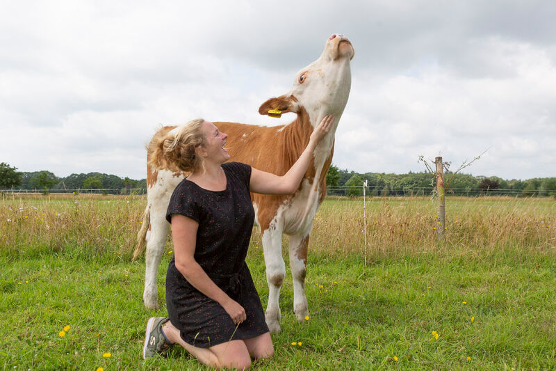 Moving forward together: how NS Zakelijk works for Wakker Dier | NS