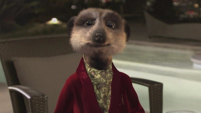 The glamorous life of Aleksandr the meerkat | Good Morning Britain