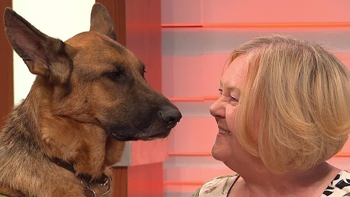 Colleen's cancer sniffed out by Inca the dog | Good Morning Britain