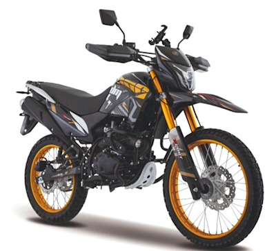 Italika DM 300 2026 | Galgo México