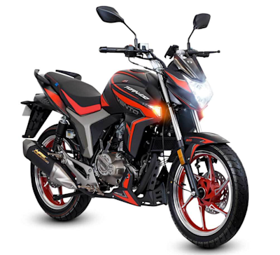 Vento Tornado 300 2026 | Galgo México