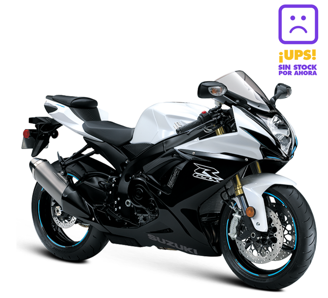 Smart cargo Y19 PRO vs. Suzuki GSX-R 750 | Galgo | Chile