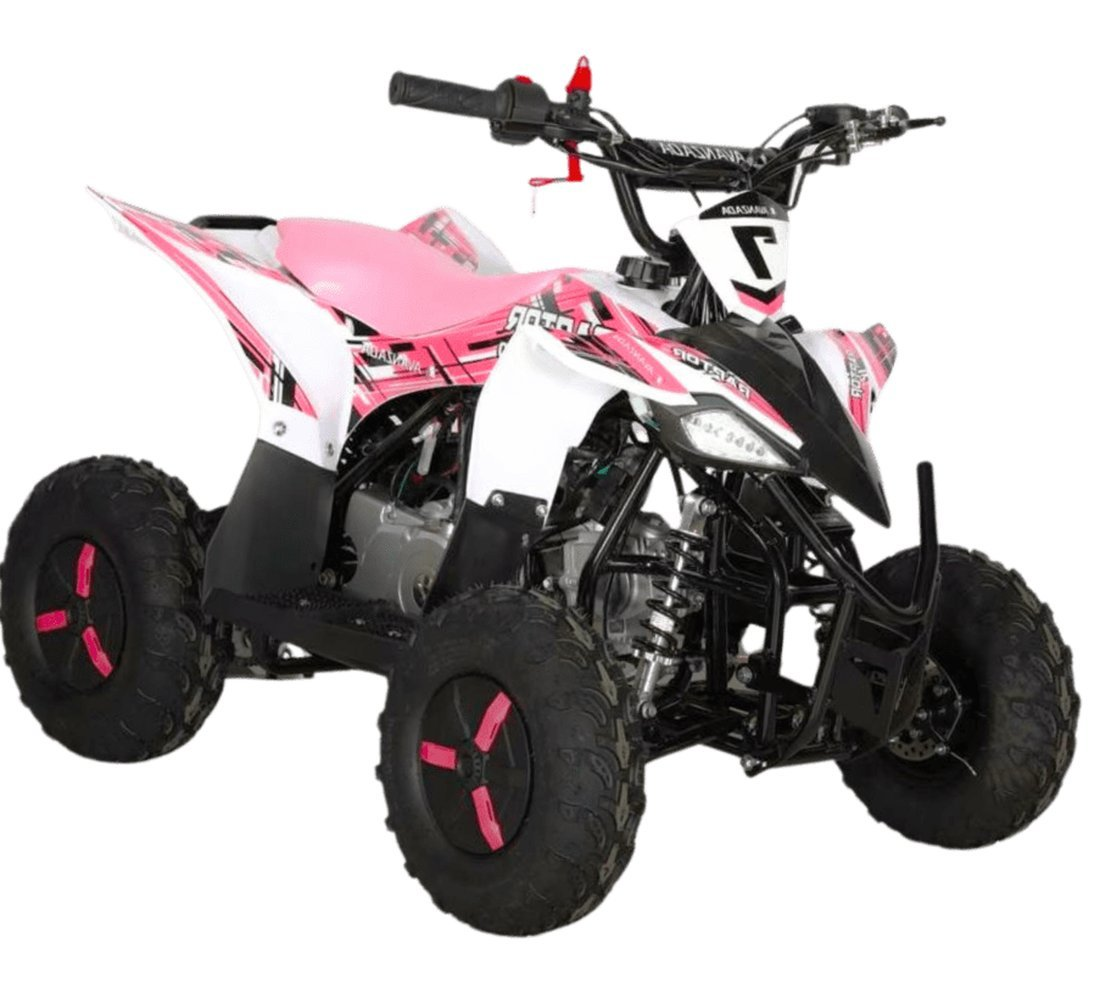 Bajaj Boxer BM 150 vs. Moto Avanzada Raptor 70 | Galgo | México