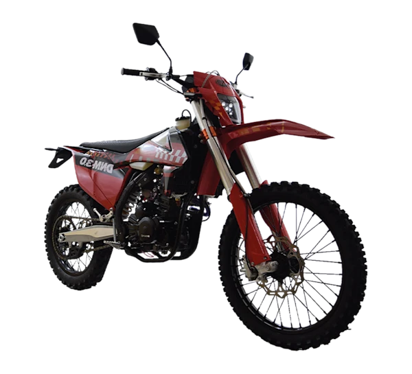 Motos Dinamo 2026 🏍️ | Galgo | México