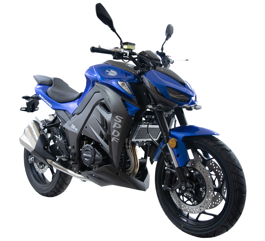 Bajaj Pulsar NS 200 FI vs. Dinamo Speed Fire SPDF 250 | Galgo | México