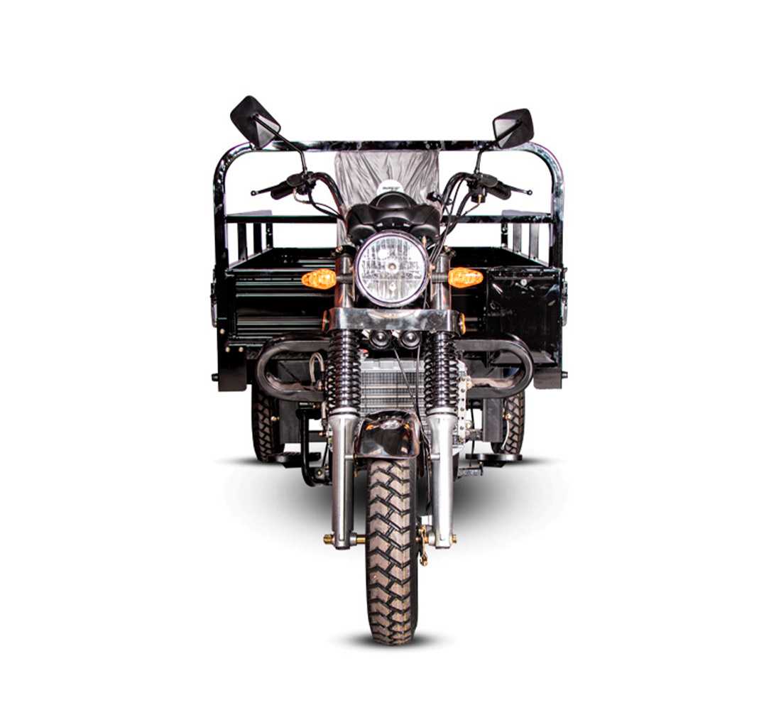 Zmoto Runga 250 2025 | Galgo México