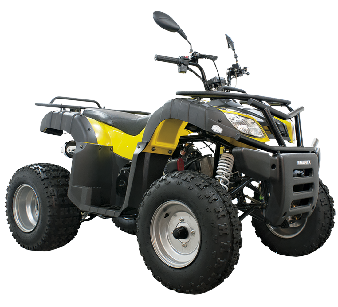 Daytona S1 Adventure vs. Dinamo Xtreme Rocky | Galgo | México