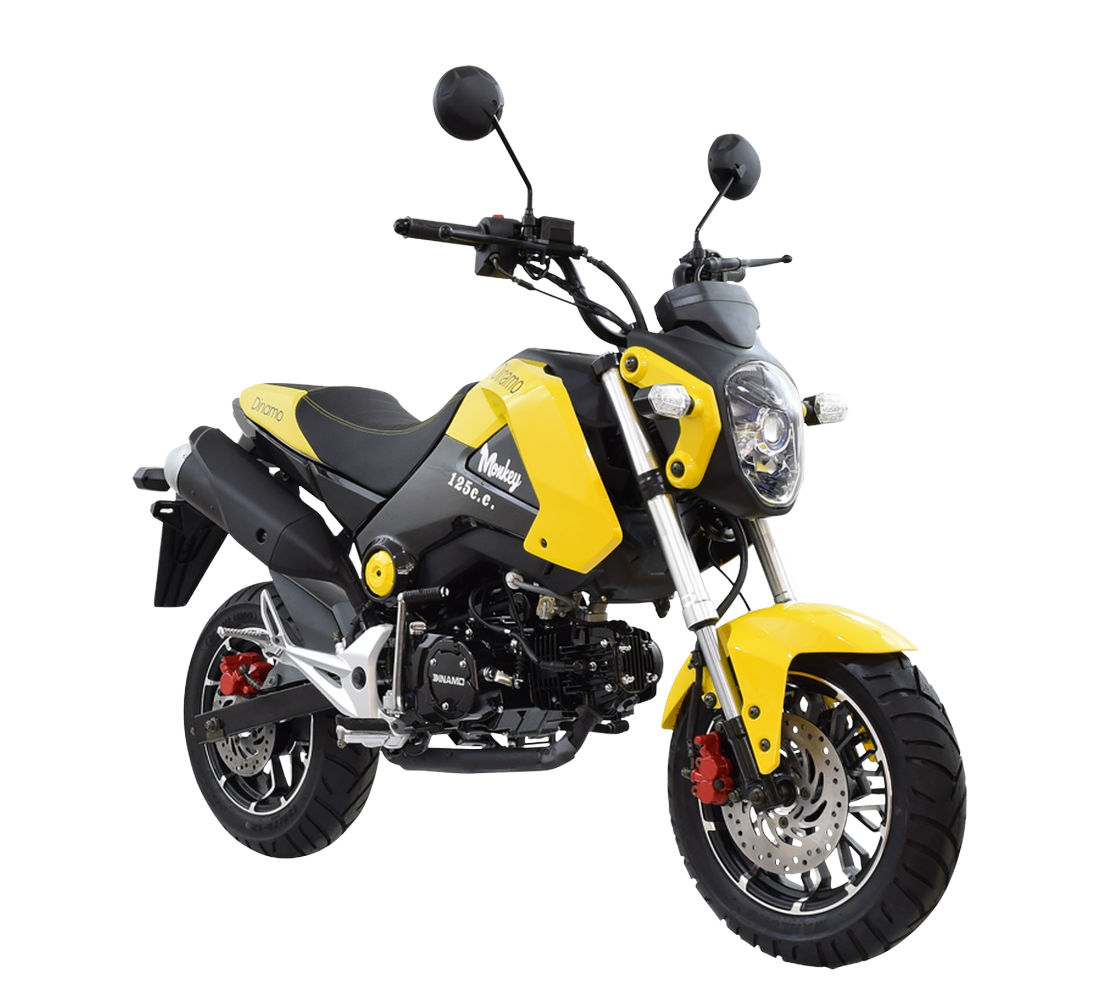 Dinamo Monkey vs. Yamaha R9 | Galgo | México